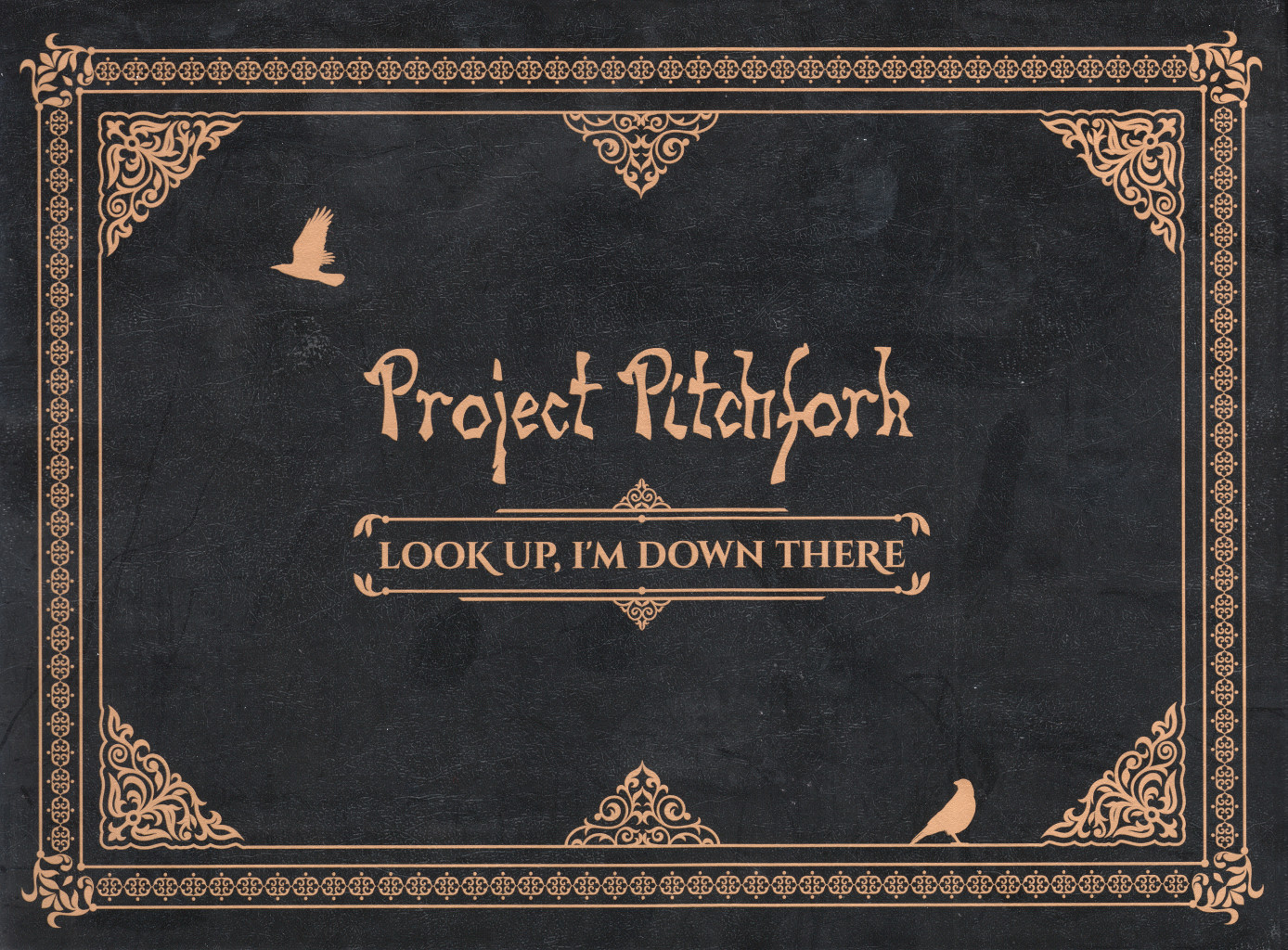 /Project Pitchfork/